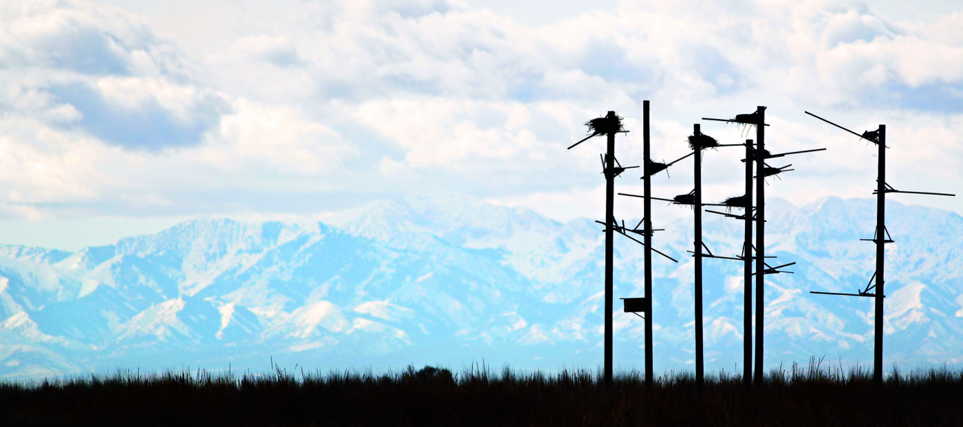 Hiking Davis County: Eccles Wildlife Education Center at Farmington Bay ...