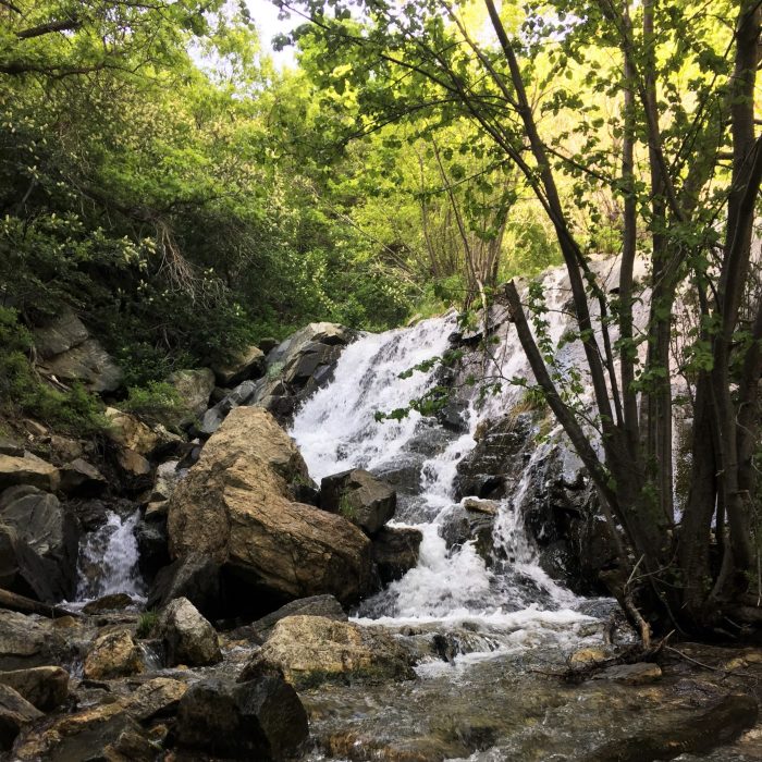 10 Popular Hiking Trails in Davis County | Discover Davis : Discover Davis