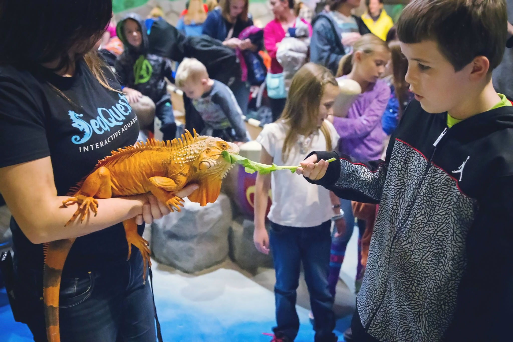 Layton Aquarium & Wildlife Encounters (formerly SeaQuest) - Discover ...