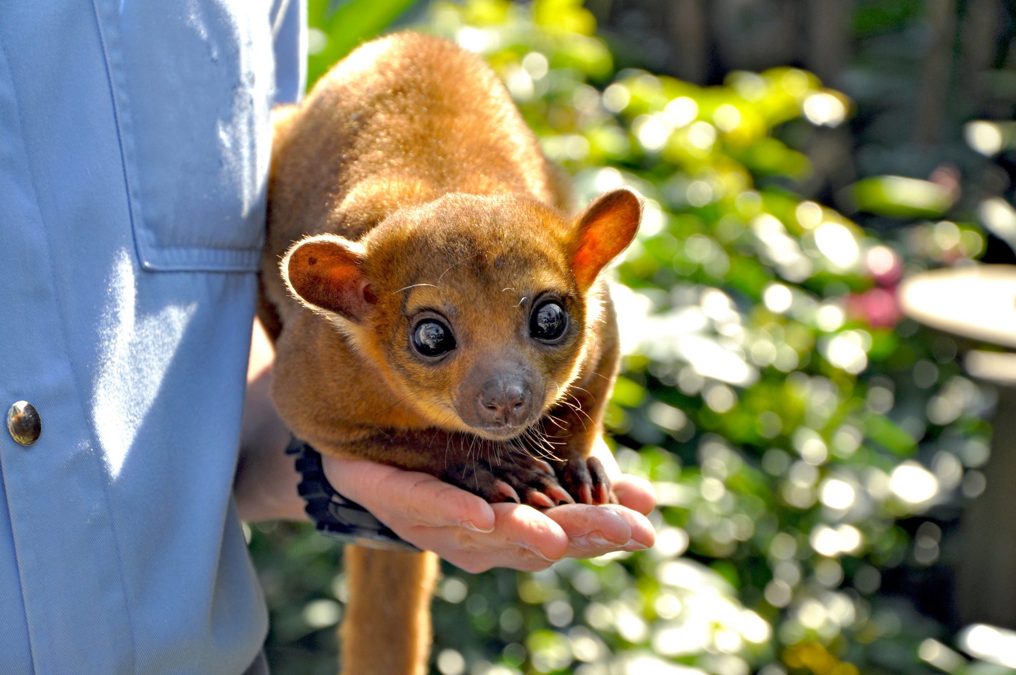 Layton Aquarium & Wildlife Encounters (formerly SeaQuest) | Discover ...