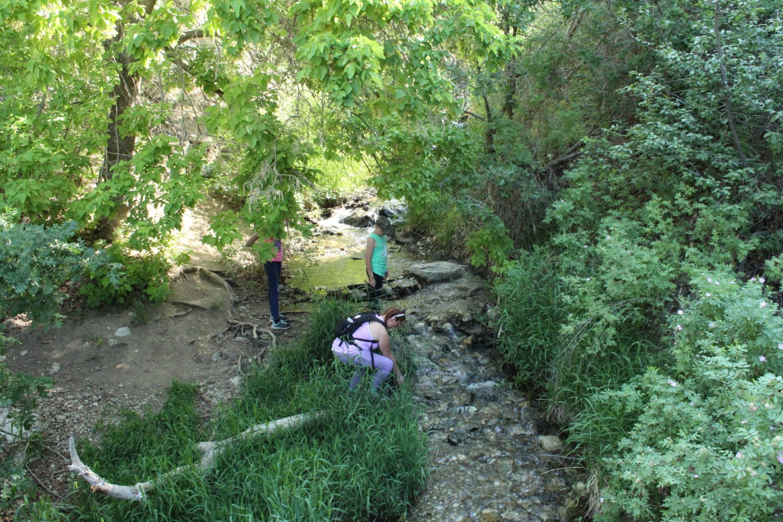 Hiking & Bike Trails in Davis County, UT : Discover Davis