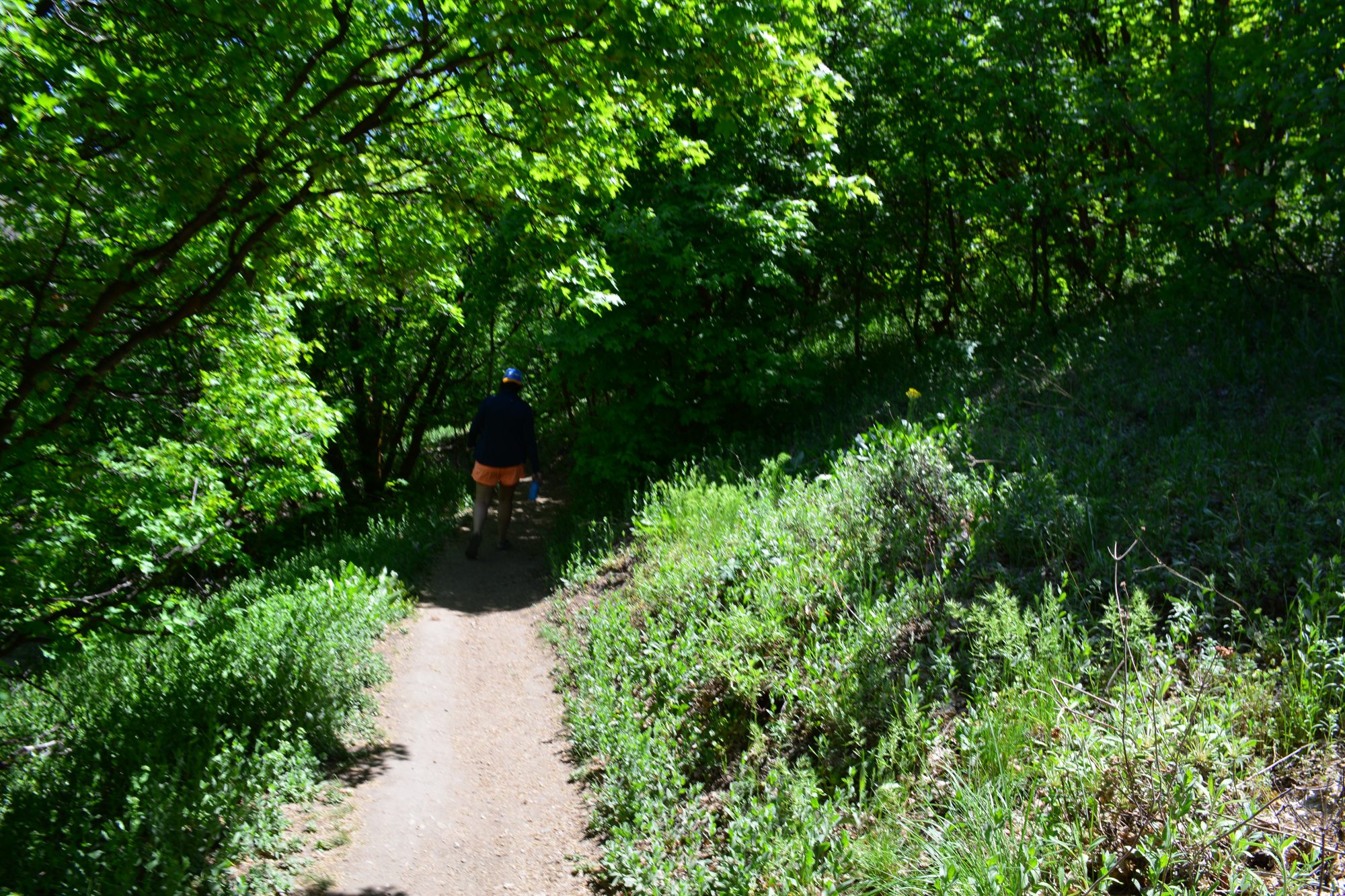 Hiking & Bike Trails in Davis County | Discover Davis : Discover Davis