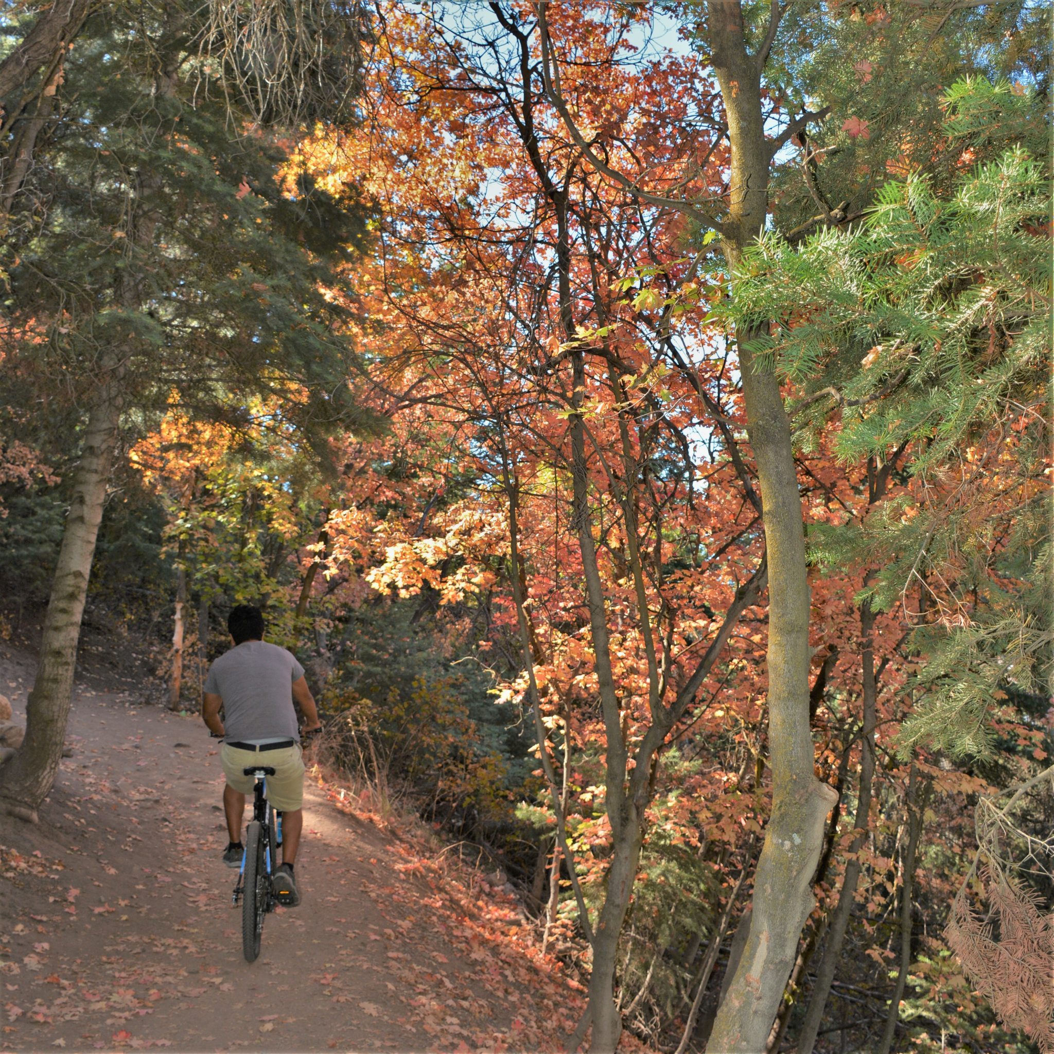 Hiking & Bike Trails in Davis County, UT : Discover Davis