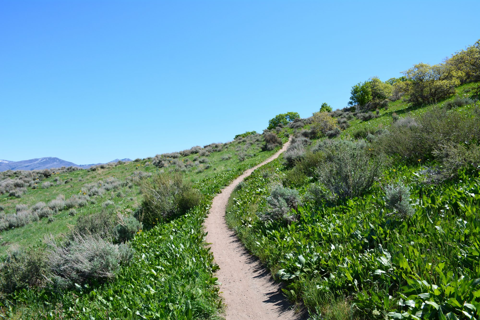 Hiking & Bike Trails in Davis County | Discover Davis : Discover Davis