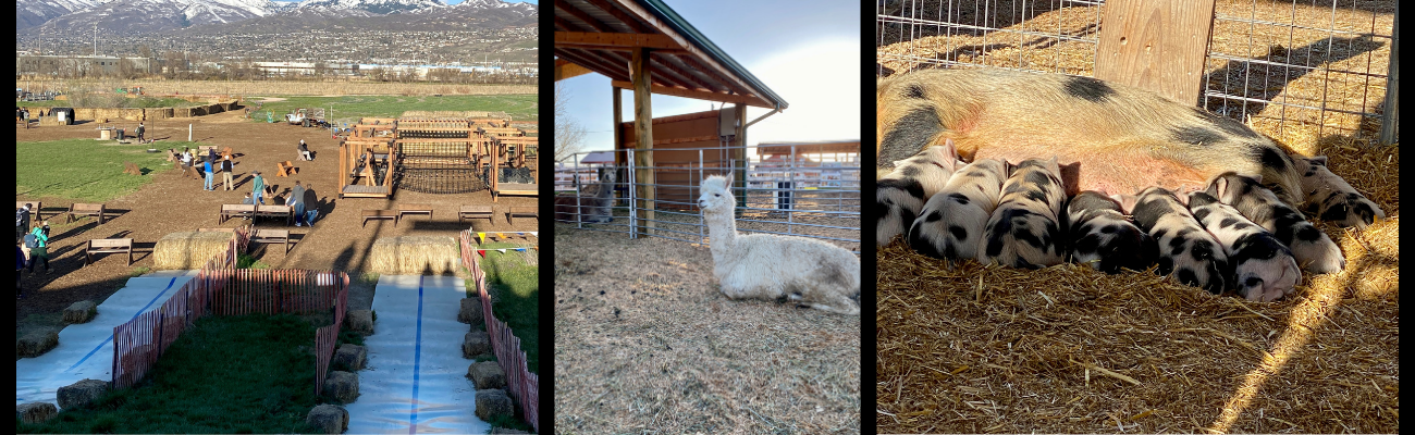 Family Fun at Cross E Ranch - Discover Davis : Discover Davis