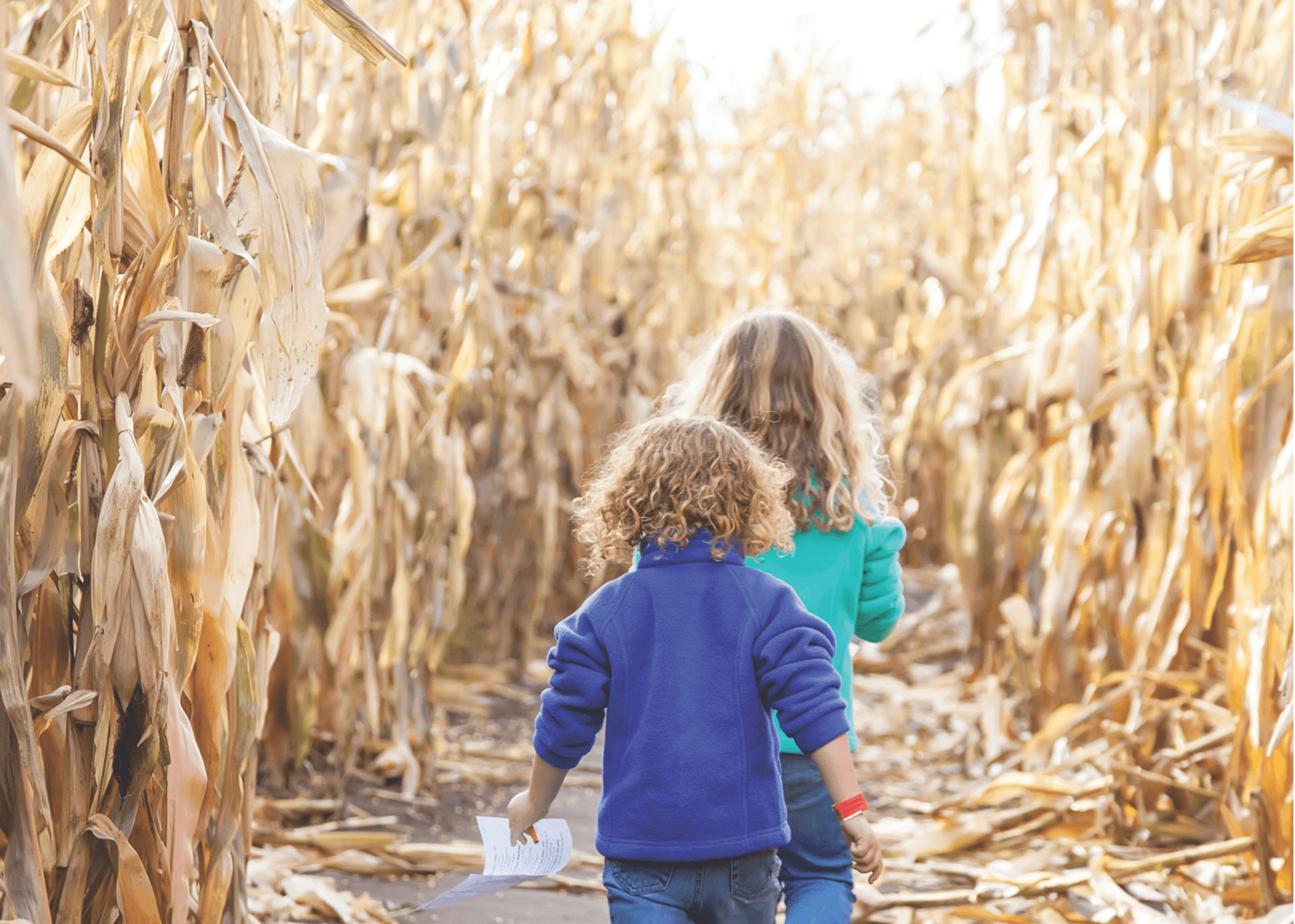 Fall Bucket List: Fun Things to do in Davis County this Fall | Discover ...