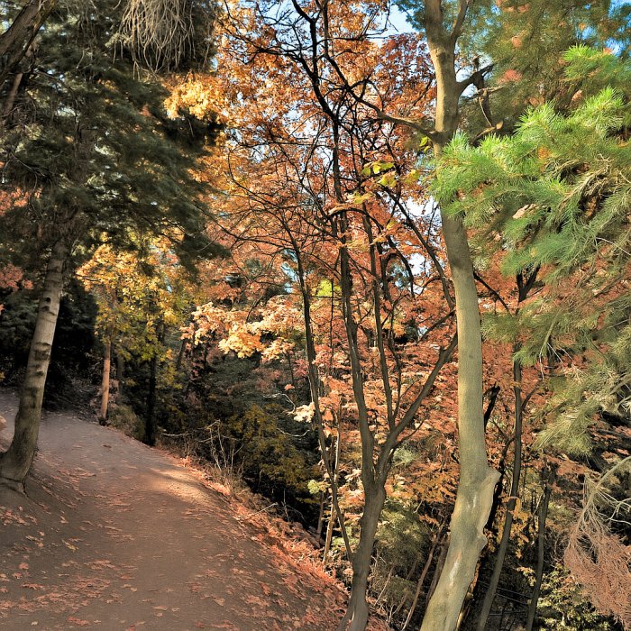 5 Places to See Fall Leaves in Davis County | Discover Davis : Discover ...
