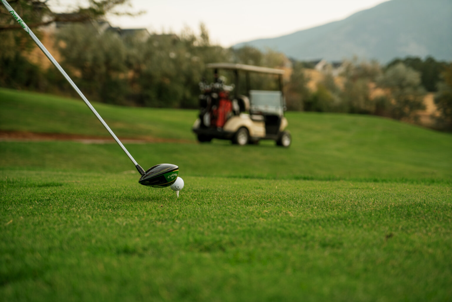 Things to Do in Davis County | Discover Davis : Discover Davis