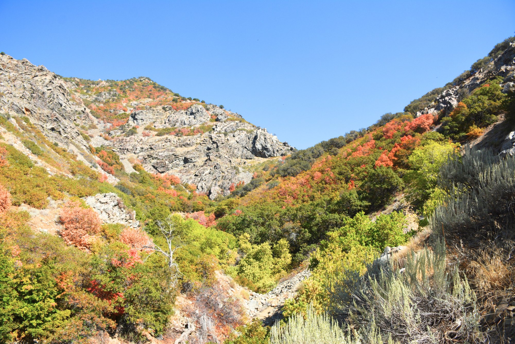 5 Places to See Fall Leaves in Davis County | Discover Davis : Discover ...