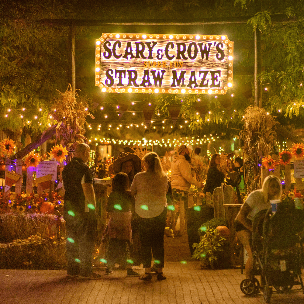 Corn Mazes & Pumpkin Patches in Davis County, UT : Discover Davis