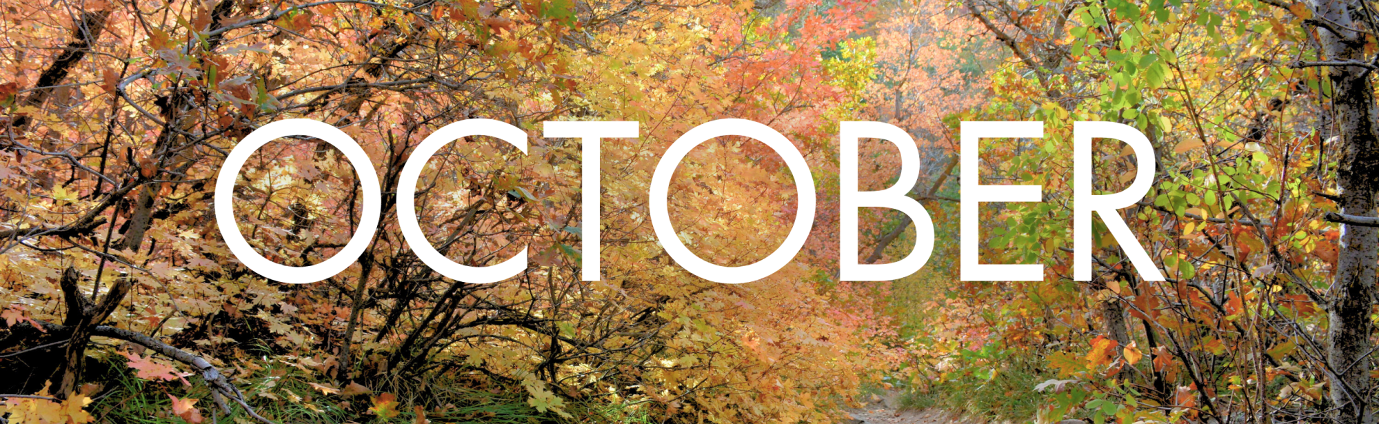 Things to do in Davis County in October : Discover Davis
