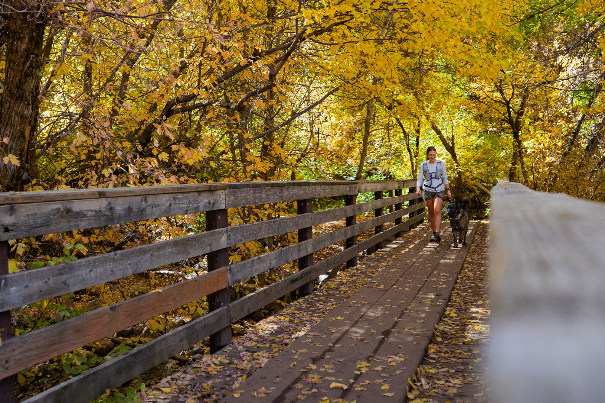 Fall Bucket List: Fun Things to do in Davis County this Fall - Discover ...