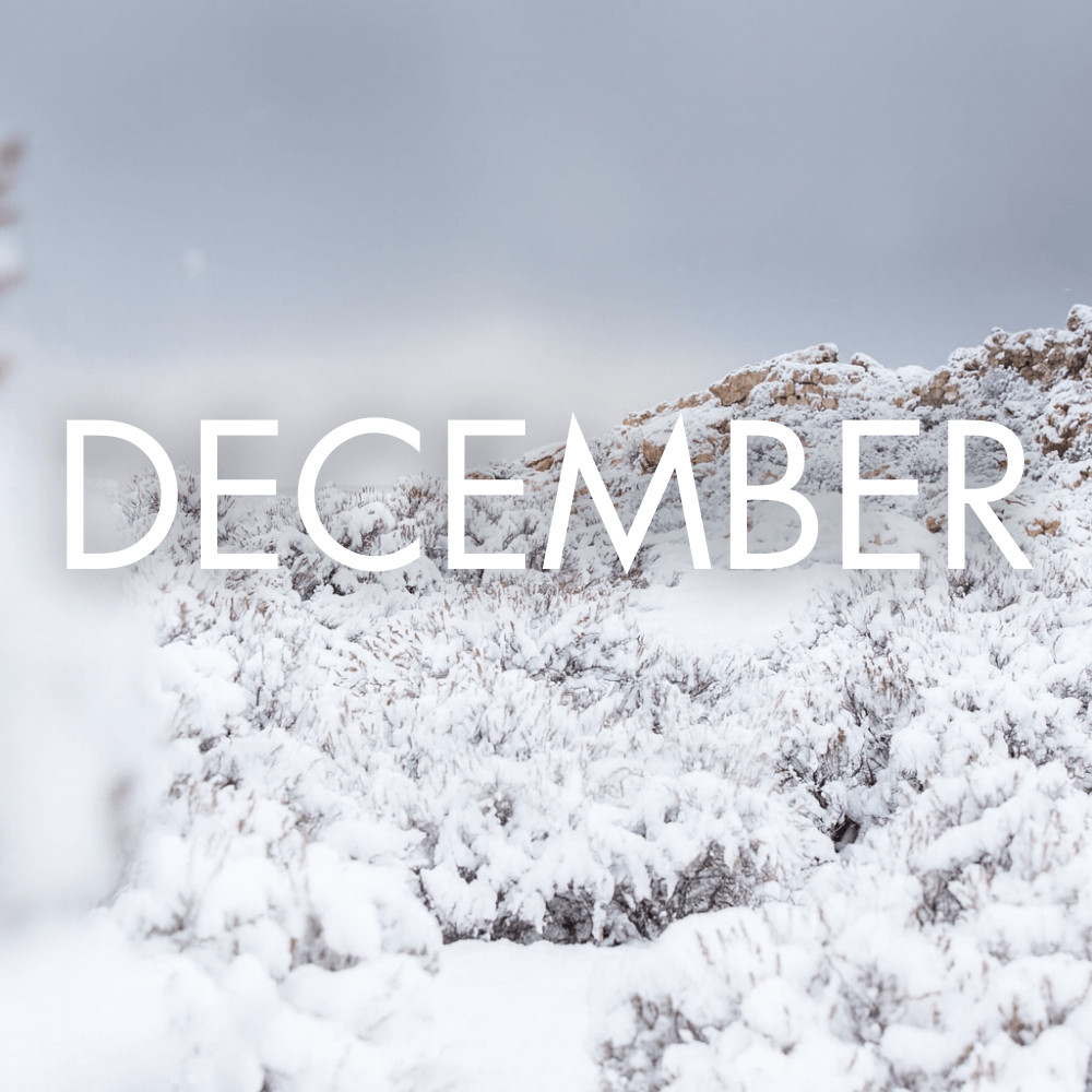 Brew N Chew | Discover Davis : Discover Davis